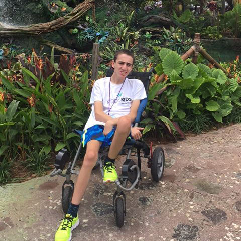 Animal-Kingdom-(1) – KiddNation