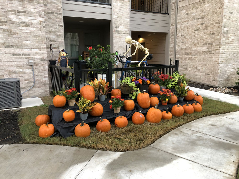 Big Al Reveals His Halloween Patio! – KiddNation
