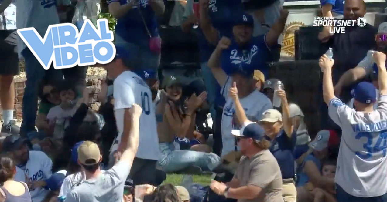 Viral Video: Dog Caught a Home Run Ball – KiddNation