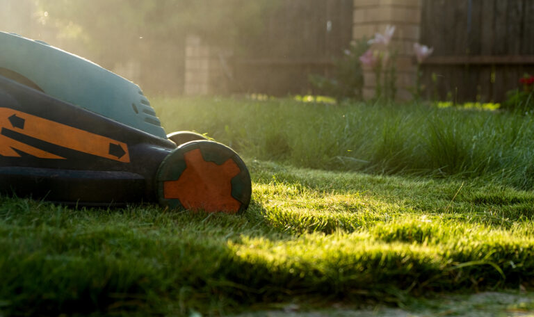 Watch KiddTV Live! – KiddNation