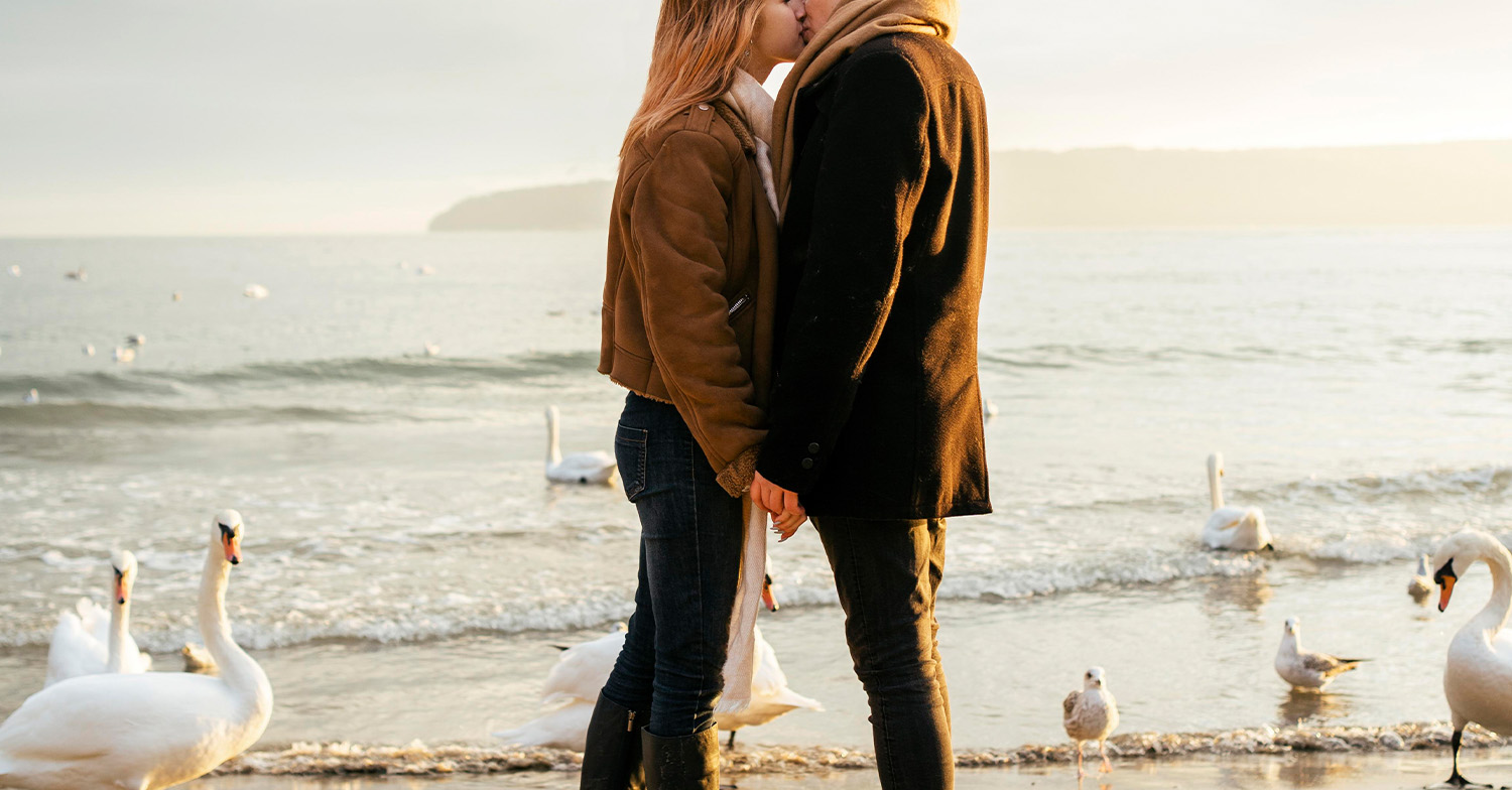 Watch KiddTV Live! – KiddNation